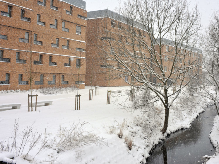 Brunel University Architectural Case Study From Feilden+Mawson