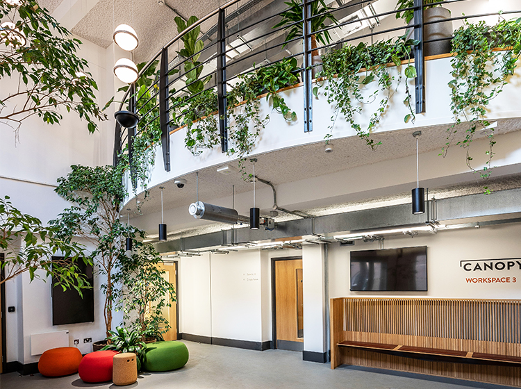 World Environment Day News | Feilden+Mawson Architects